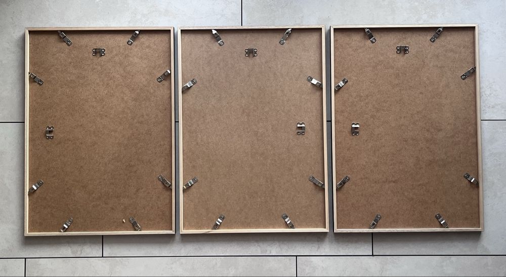 Set von drei Tierpostern: Strauss, Pavian, Pfau (Gebraucht) in Rüti ZH ...