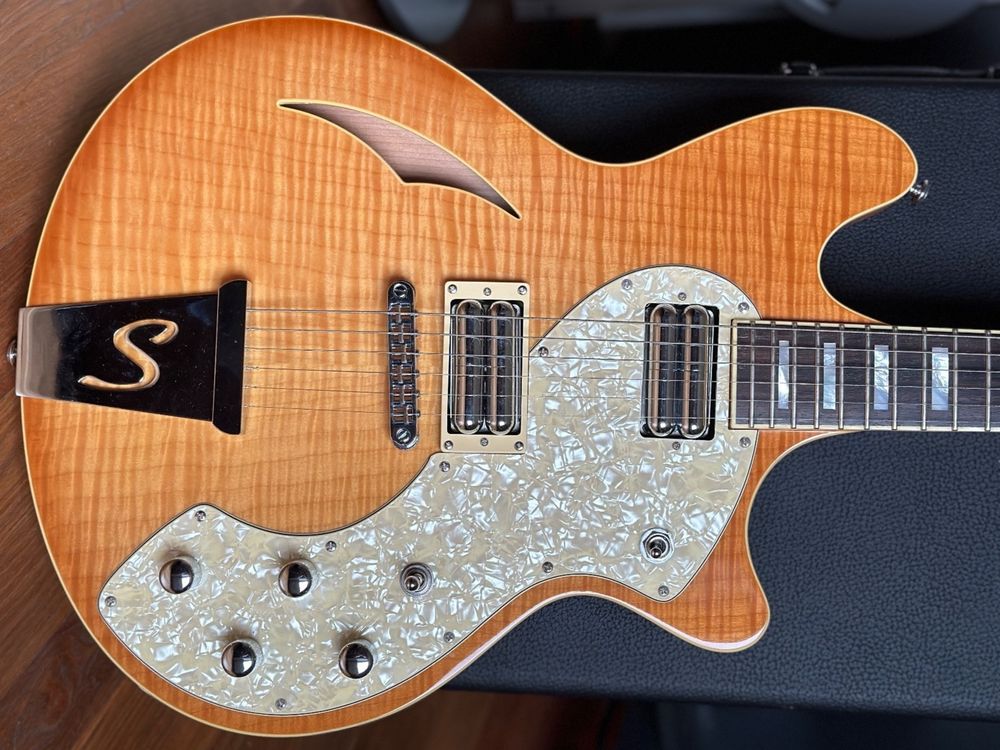 Schecter Diamond Series TS/H-1 Classic - Semi-Hollowbody (Gebraucht) in Berg SG für CHF 400 ...