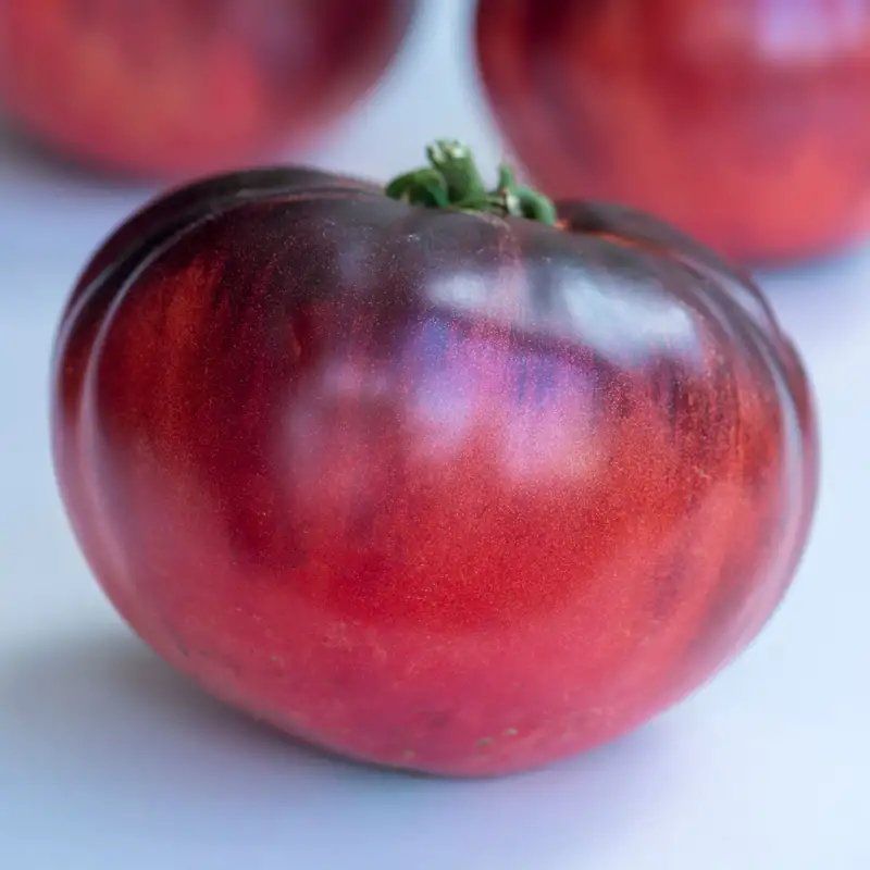 Tomate 💙 ️💜 Indigo Blue Berries, Rarität, 10 Samen (Neu und ...