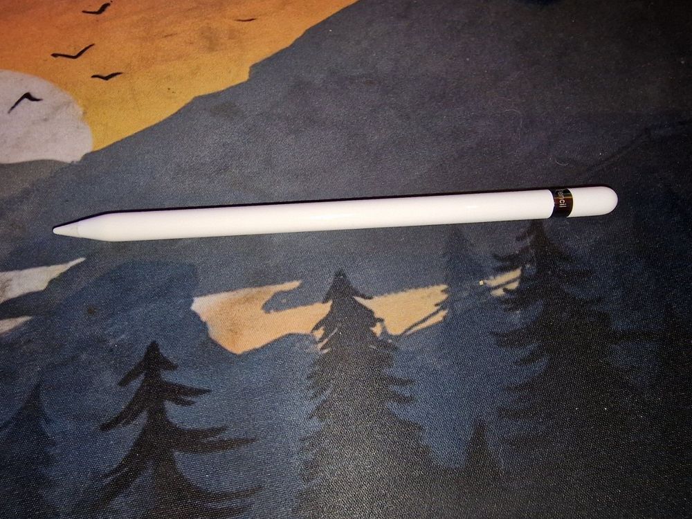 Apple Pencil, 1ste Generation (D'occasion) à Eschenbach pour CHF 65 ...