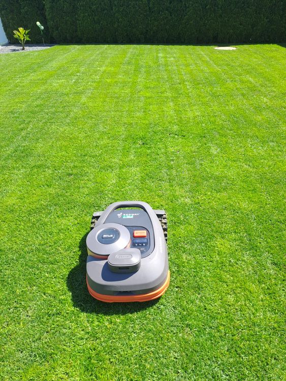 Mähroboter Sagway navimow H800 (Gebraucht) in Schindellegi für CHF 970 ...