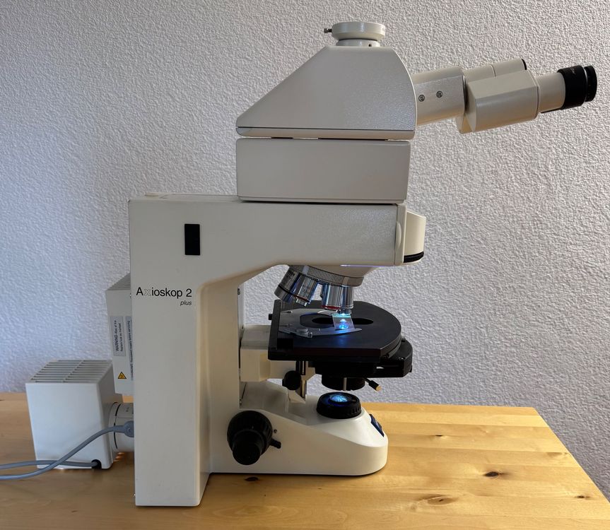Zeiss Axioskop 2 plus mit Ergotubus + höhenverstellbar, pol. (Gebraucht ...