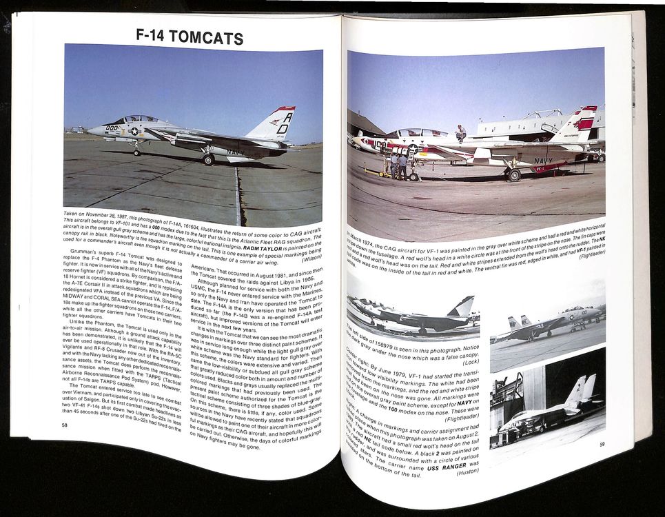 COLORS & MARKINGS OF U.S. NAVY AND USMC CAG AIRCRAFT. Kinzey (Neu ...