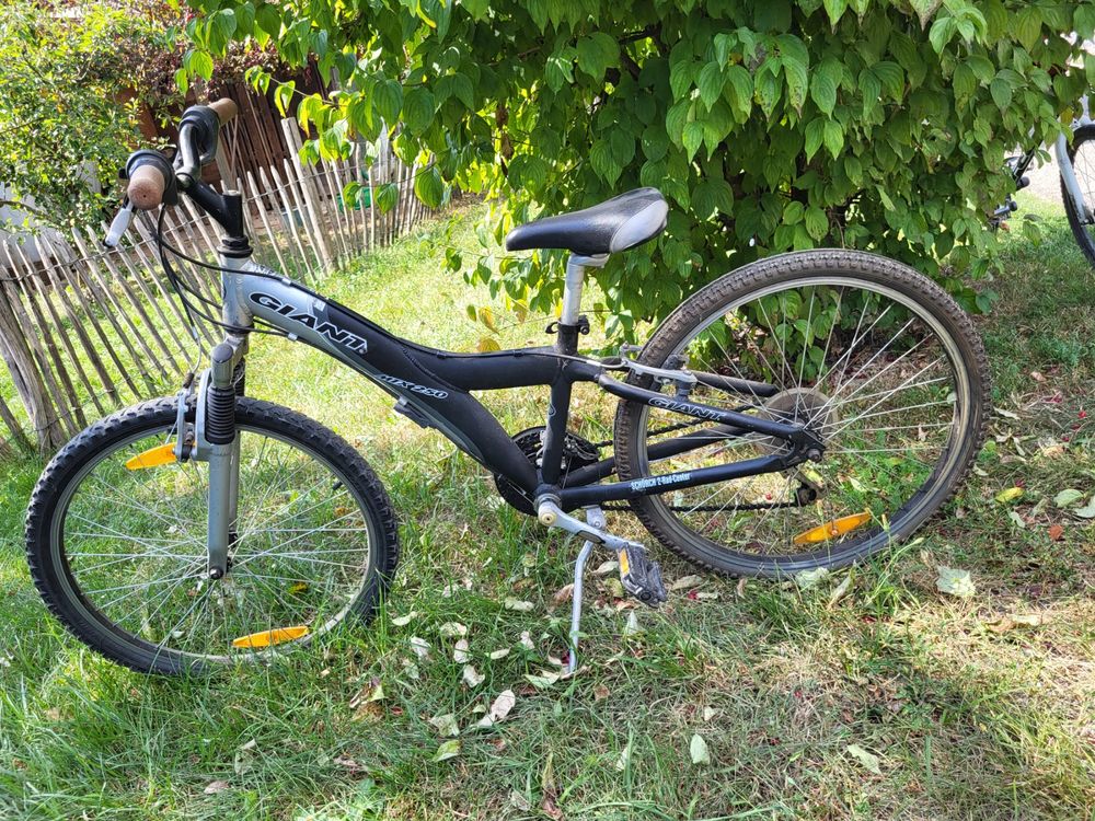 Kinderfahrrad Giant MTX250 | Kaufen auf Ricardo
