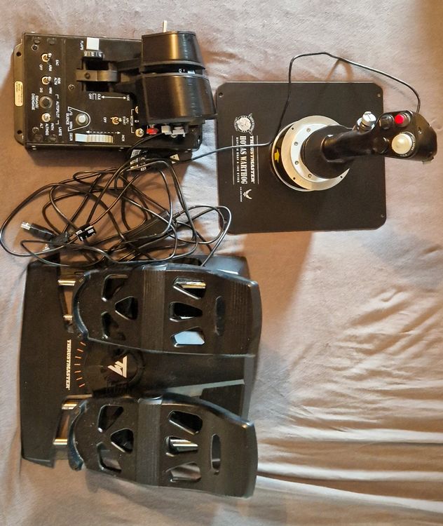 Thrustmaster Hotas Warthog Joystick+Thrustmaster TFRP pedale (Gebraucht) in Bern für CHF 320 ...