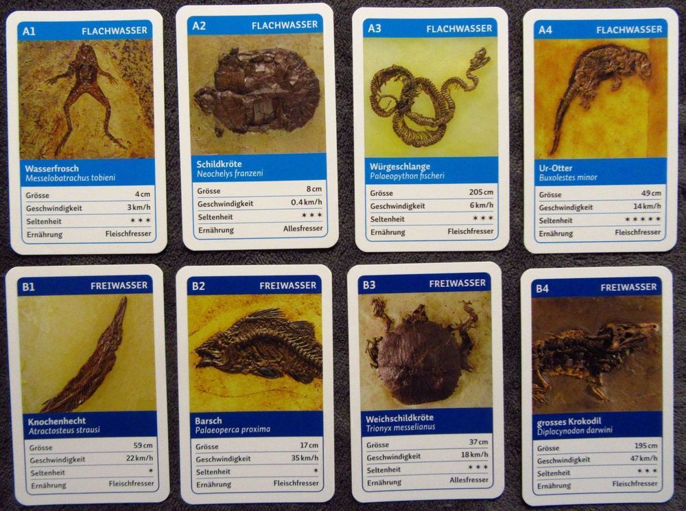 Quartett / Messel Urpferd & Co. (Neu (gemäss Beschreibung)) in Auenstein für CHF 3 – mit ...