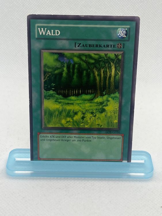 Wald | Kaufen auf Ricardo