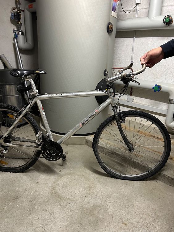 silver bike for adults | Kaufen auf Ricardo