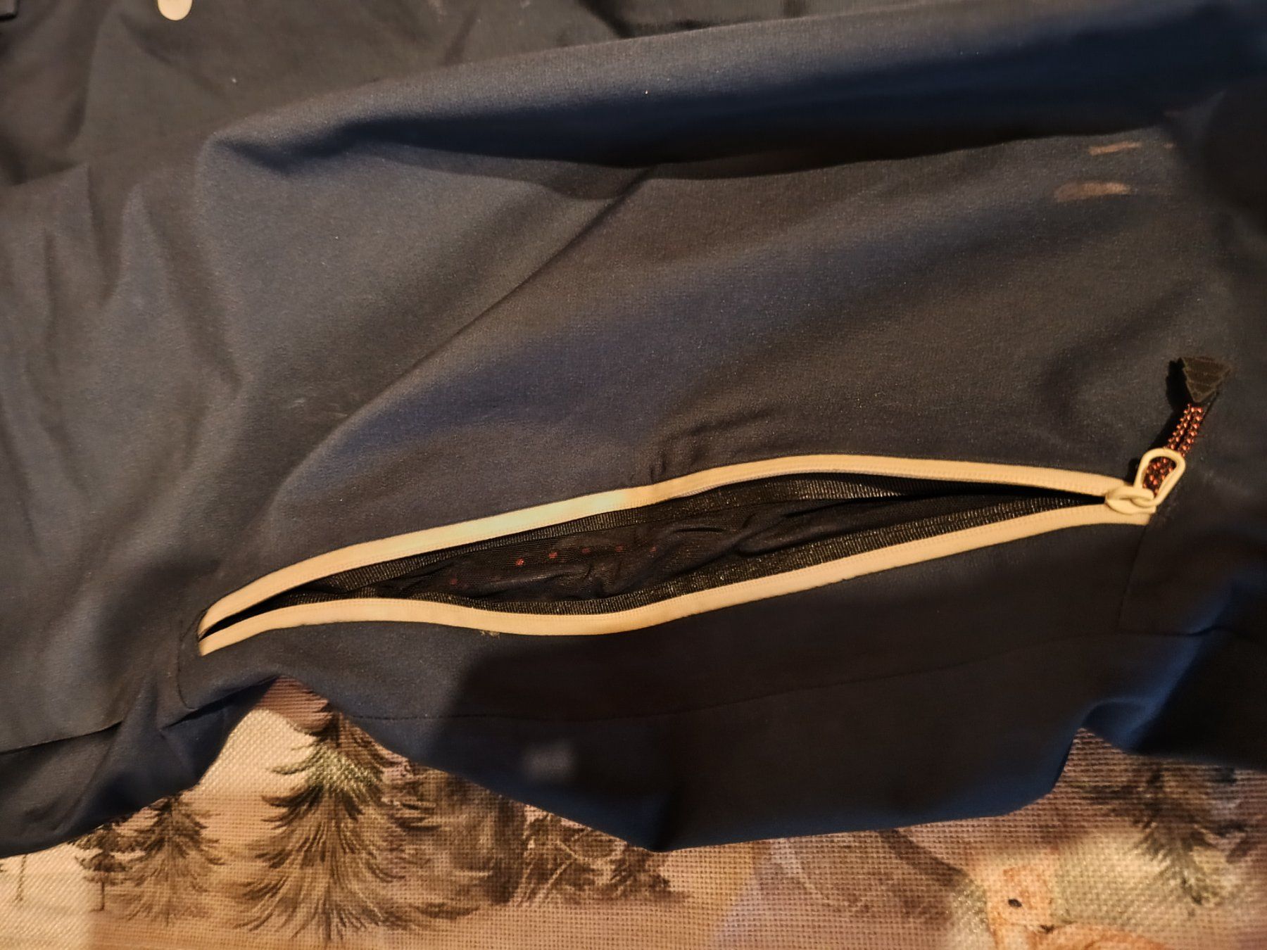 Picture Snowboardhose / Skihose – Grösse L (Herren) (D'occasion) à ...