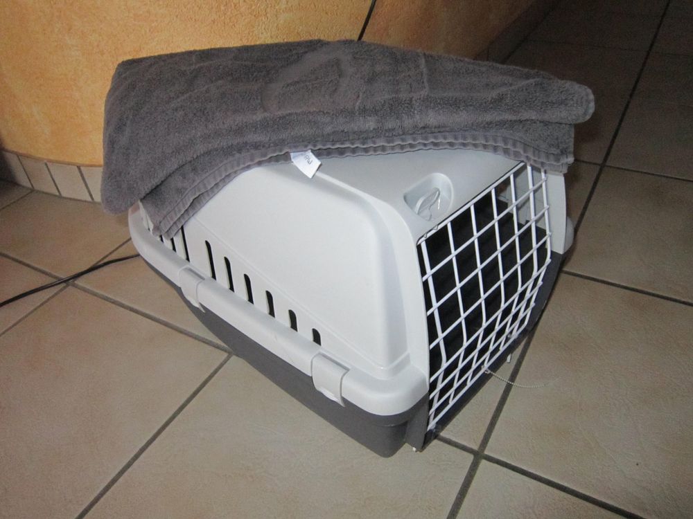 Transportkiste für Katze | Kaufen auf Ricardo