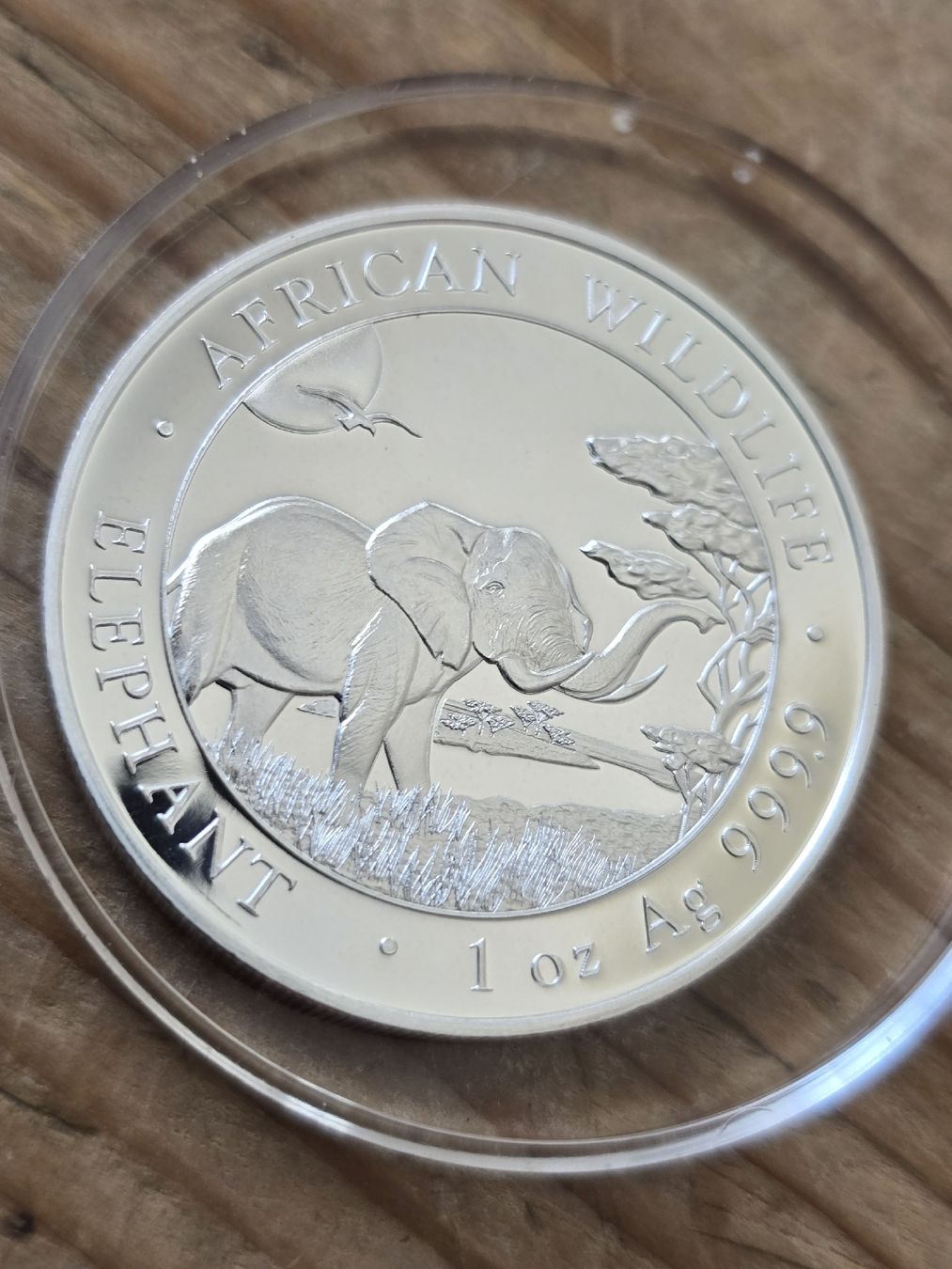 Somalia Elefant 2019, 1 Unze Silber, Wildlife Serie top (Neu und ...