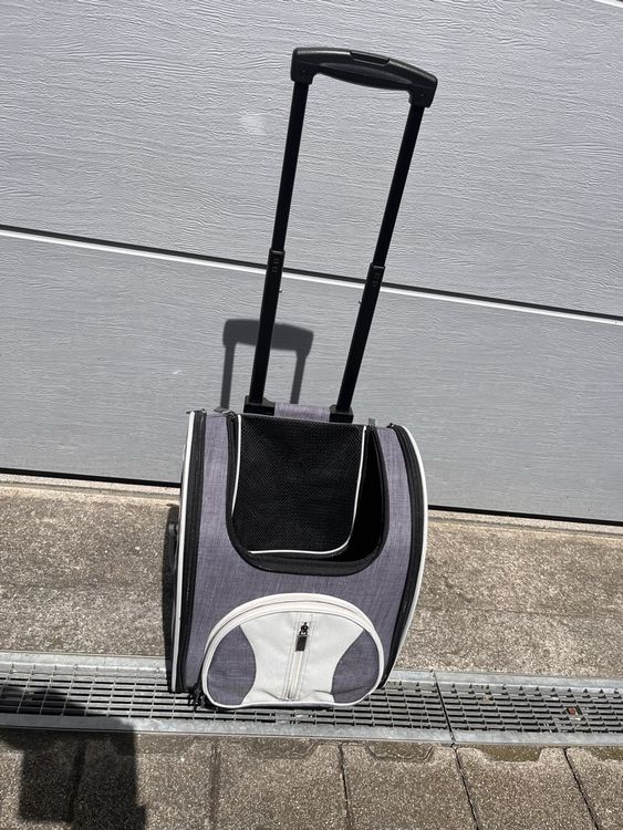 Hunderucksack, Rolli, Swiss Pet (Gebraucht) in Sisseln AG für CHF 30 ...