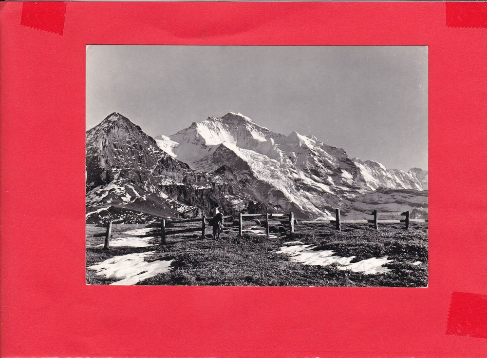 Jungfrau | Kaufen auf Ricardo