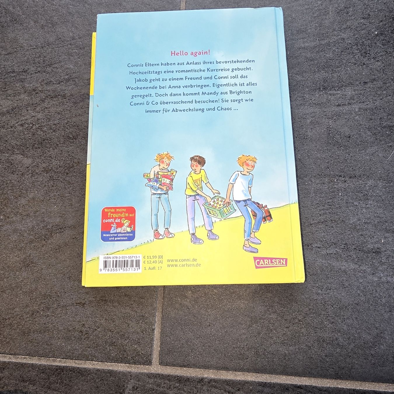 Conni, Mandy und das wilde Wochenende - Jugendbuch Carlsen (Neu (gemäss ...