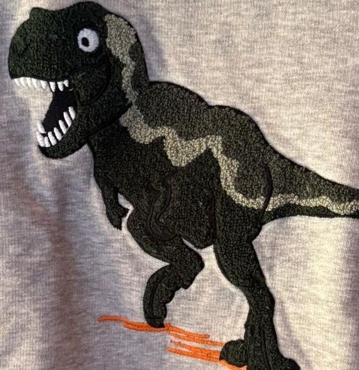 Pull C&A garçon taille 104 dinosaure gris excellent état (Neu (gemäss ...