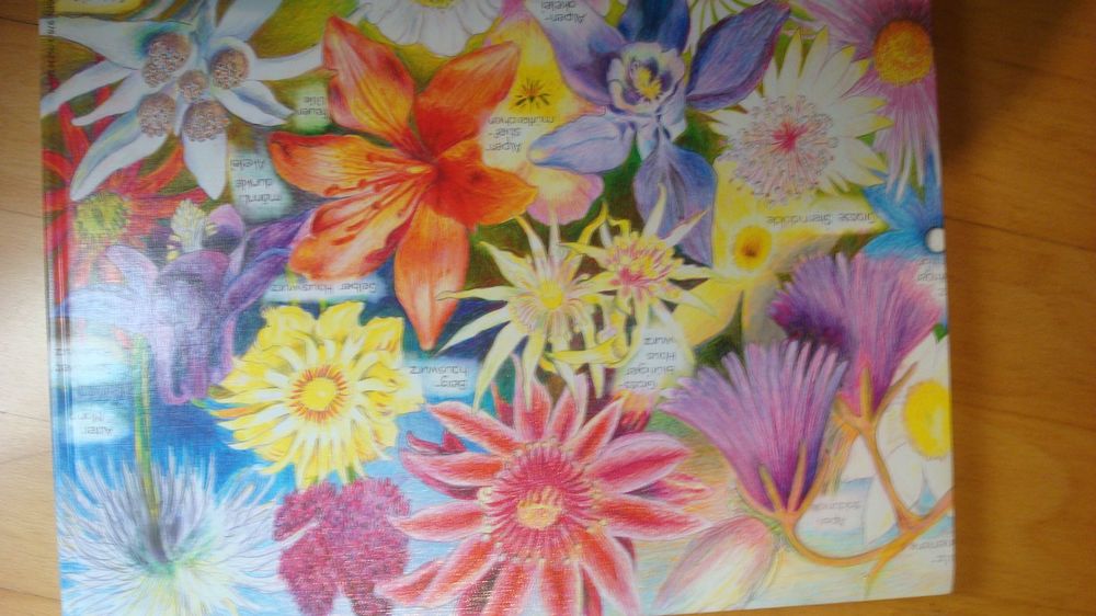 Heidi Bilderbuch Bd. 3 frei nach J. Spyri - M. Stör-Brenner (Gebraucht ...