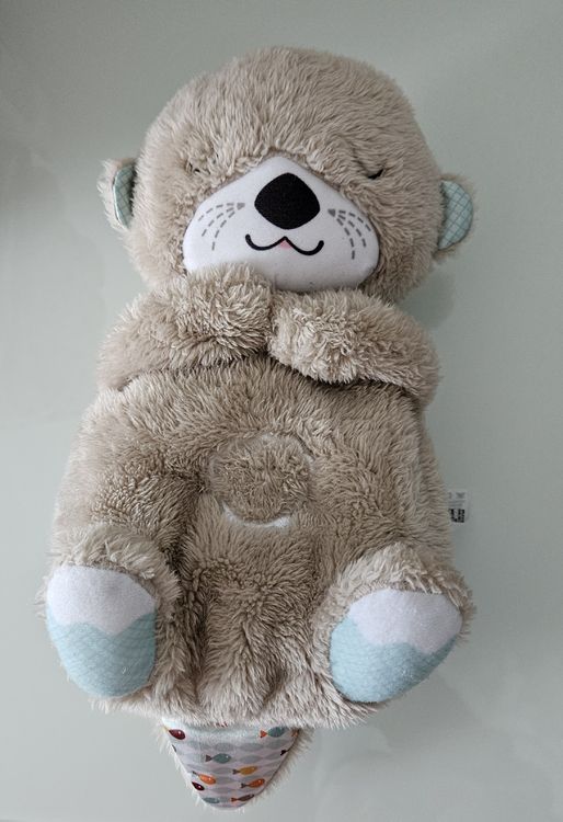 Schlummer Otter | Kaufen auf Ricardo