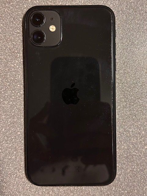 Apple IPhone 11, 256 GB, blau | Kaufen auf Ricardo