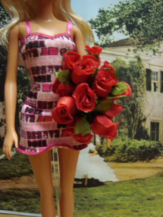 Barbie's Blumenstrauss rote Rosen (Neu (gemäss Beschreibung)) in für ...