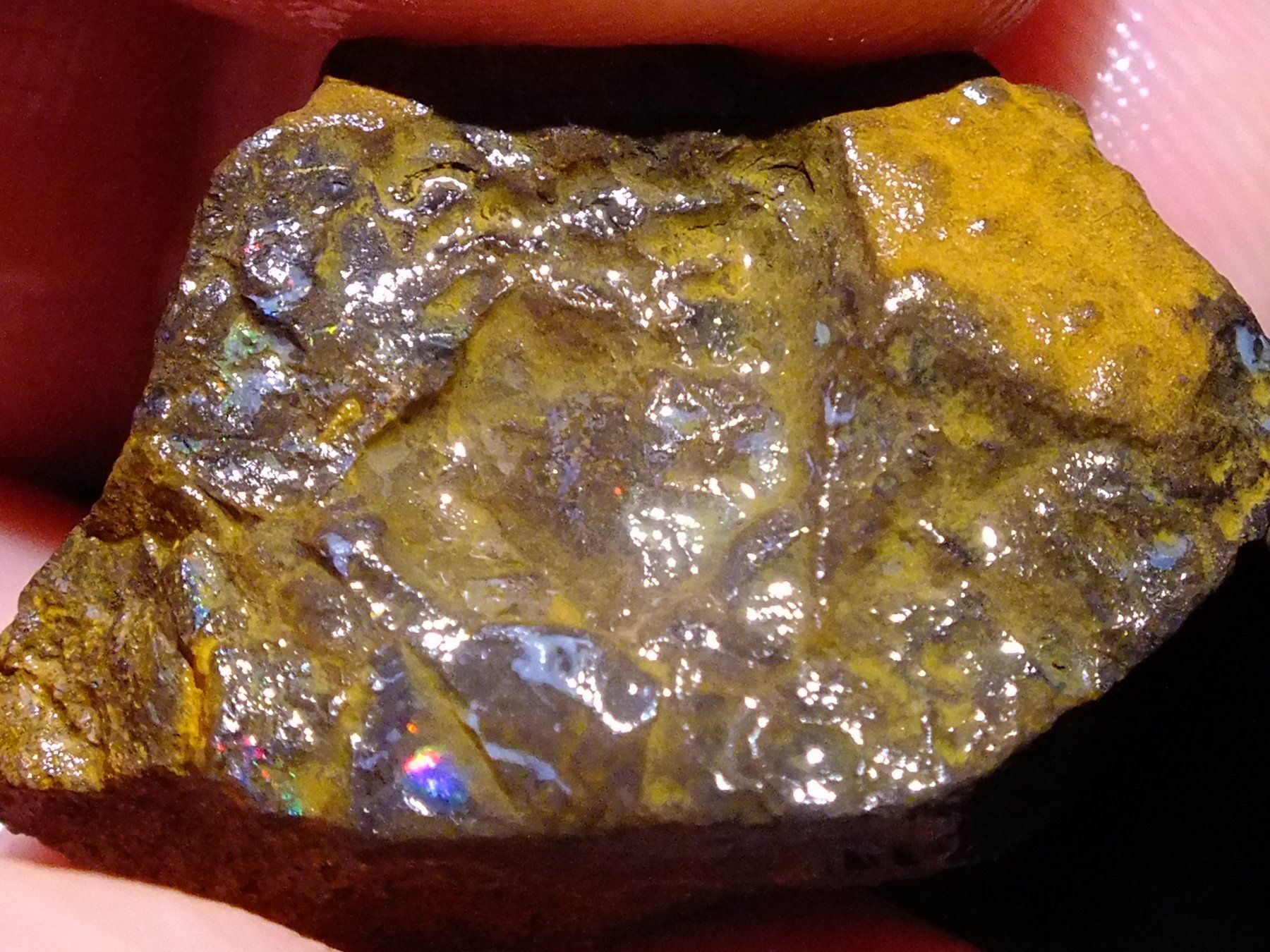 BOULDER ROH OPAL 42.50 Karat Gebot 1.- Elektrisch Rot feuer (Neu und ...