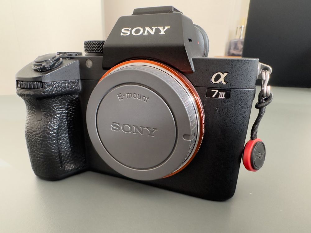 Sony Alpha 7 III | Kaufen auf Ricardo