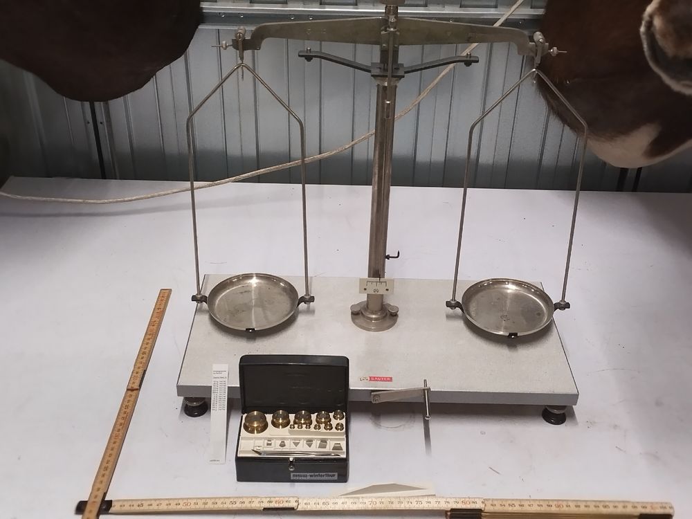 Alte Präzisionswaage mit Gewichten, Vintage Top! (Gebraucht) in ...