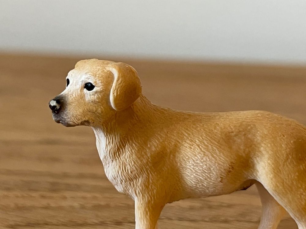 Schleich 16386 Labrador Rüde Hund (Gebraucht) in Ennetbaden für CHF 7 – mit Lieferung auf ...