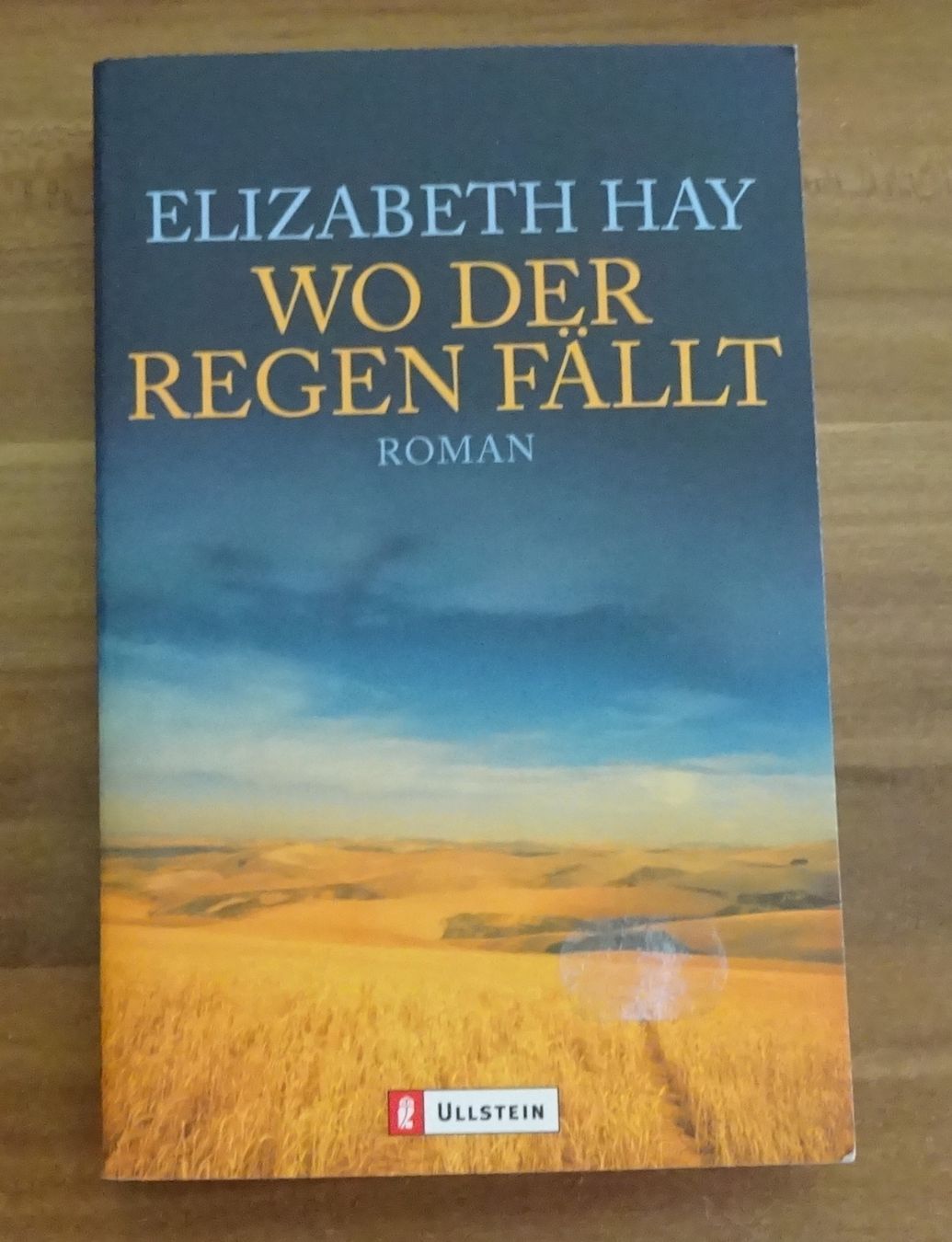 Wo der Regen fällt von Elizabeth Hay (Neu (gemäss Beschreibung)) in ...
