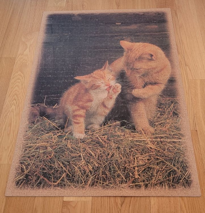 Katzenposter aus Puzzle 50 x 70 cm - nur Abholung (Gebraucht) in Zürich für CHF 4 – nur Abholung ...