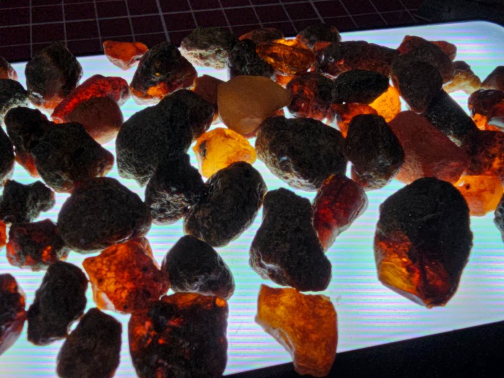 35 gr Rohbernstein lot baltisch roh Bernstein natur rot (Neu (gemäss ...