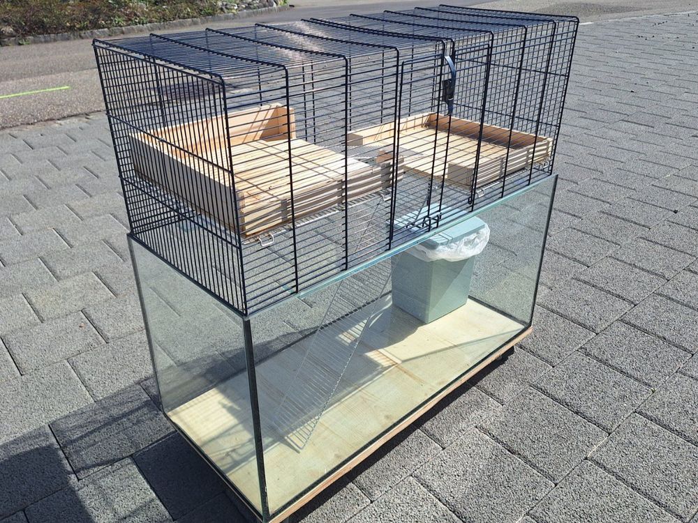 Hamster-/Mäusekäfig, inkl. Zubehör (Gebraucht) in Küttigen für CHF 90 ...