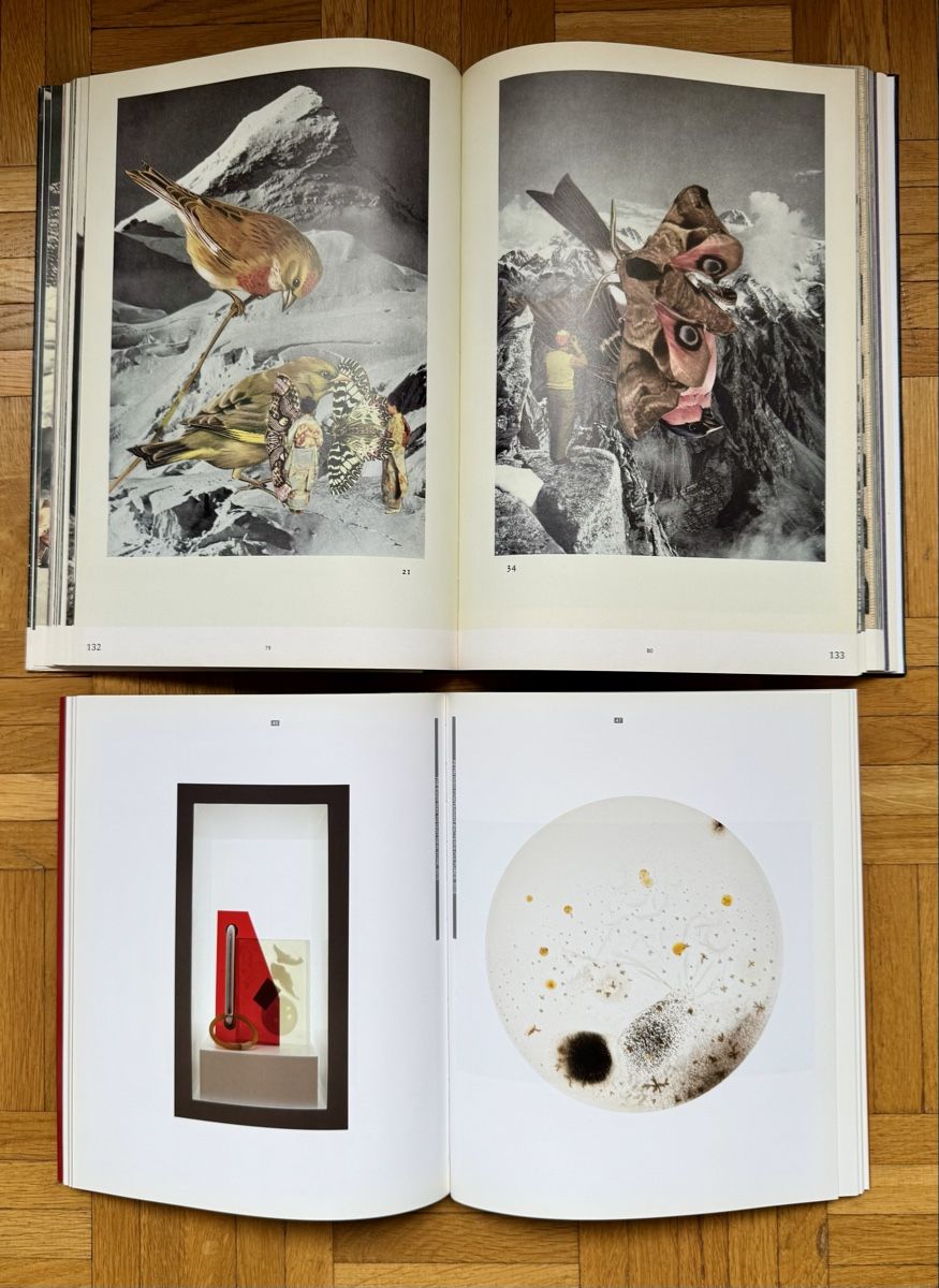 4x CONTEMPORARY ART BOOKS HUBER HUBER YI CHARRIERE CASCIO (Neu (gemäss ...