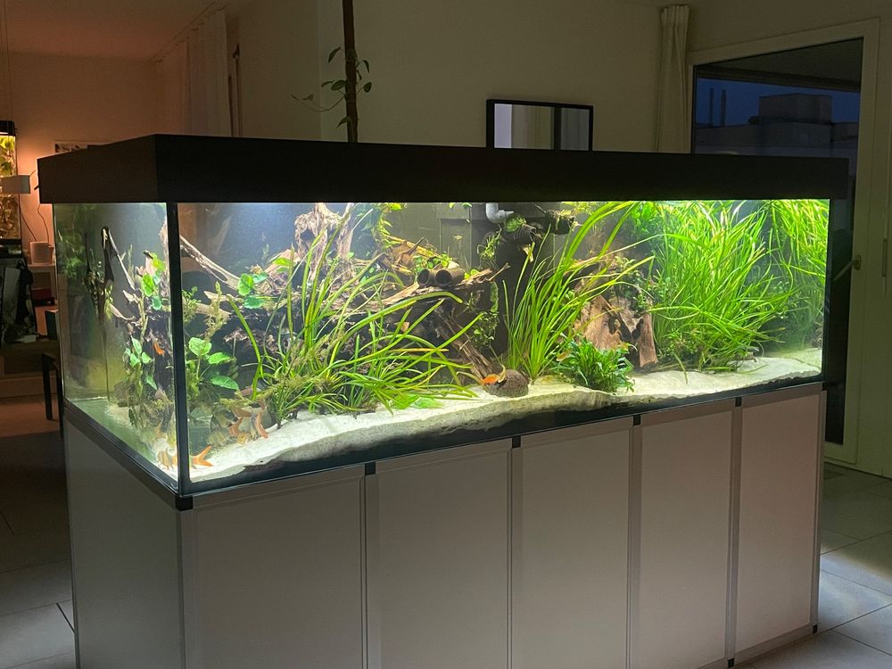 1200l Aquarium | Kaufen auf Ricardo