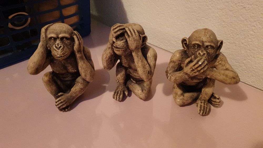 Deko Affen (Gebraucht) in Rickenbach LU für CHF 1 – mit Lieferung auf Ricardo kaufen