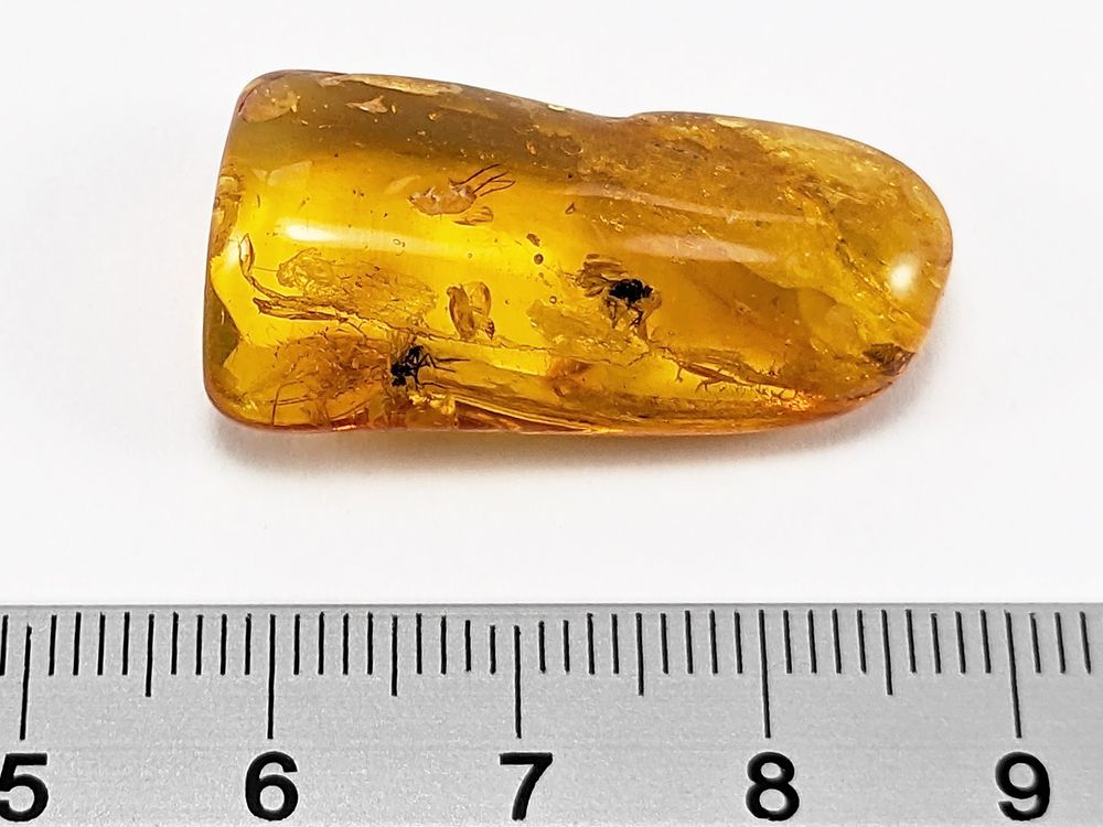Bernstein mit 2 Mücken (Insekt/Inkluse) | Kaufen auf Ricardo