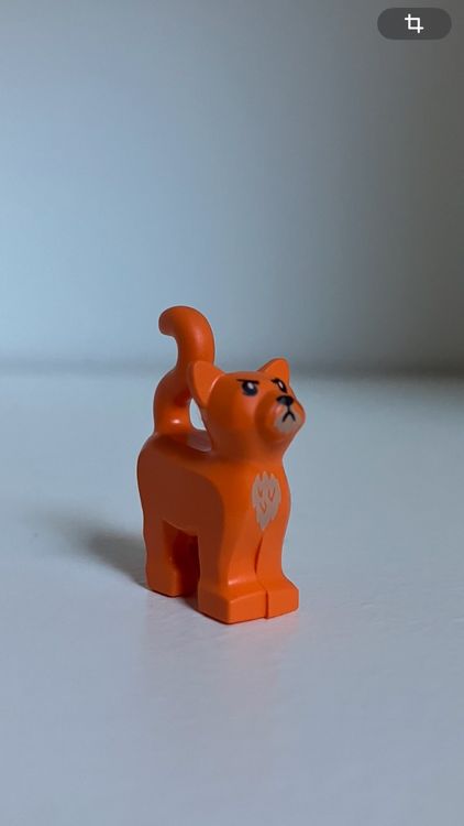 Lego figurine animal angry cat Minifigur (Gebraucht) in für CHF 3 – mit ...