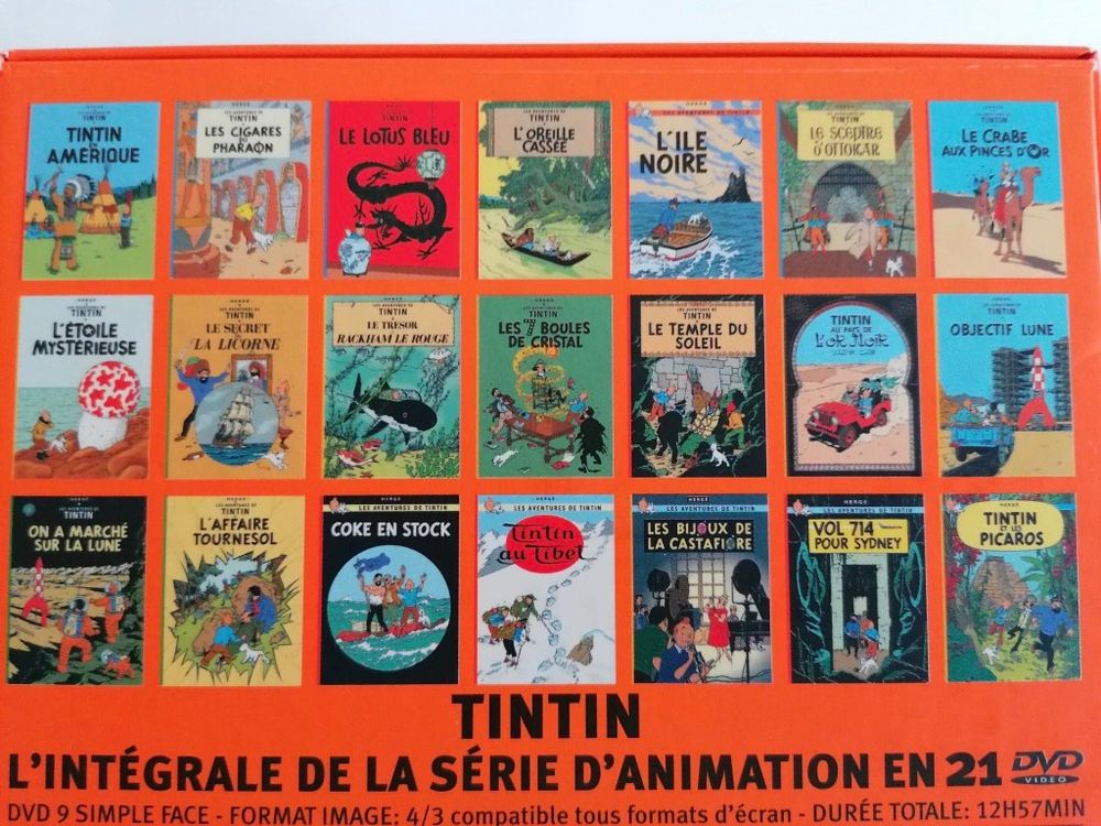 Tim und Struppi DVD - Tintin coffret Intégrale 21 DVD (Neu (gemäss Beschreibung)) in Ermenswil ...