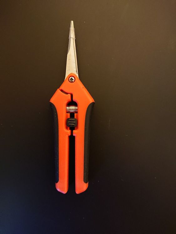 NEU - Gartenschere Ast Schere Gärtnerschere - 16.5cm Rot (Neu und ...