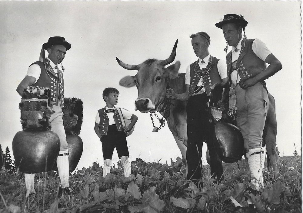 Auf der Alp | Kaufen auf Ricardo