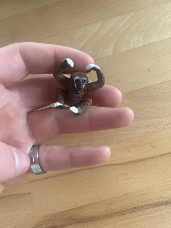 Figurine Singe Gibbon jouet 🐒 Schleich neuf jouet (D'occasion) à ...