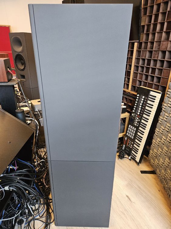 Strauss Elektroakustik Midfields | Kaufen auf Ricardo