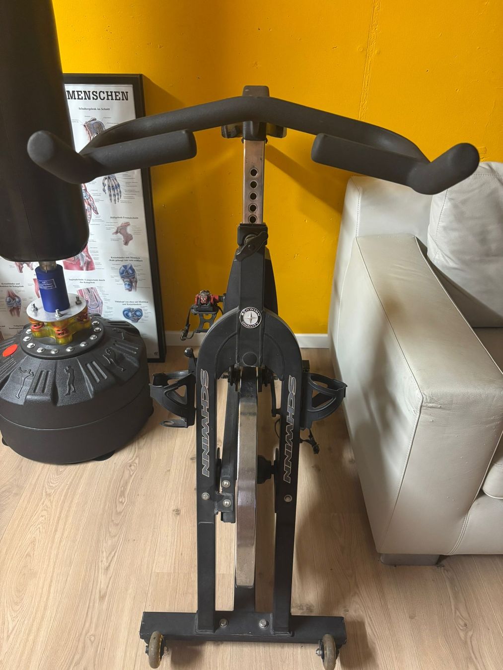 Schwinn IC Pro Indoor Cycle - guten Zustand (Gebraucht) in Jonen für ...