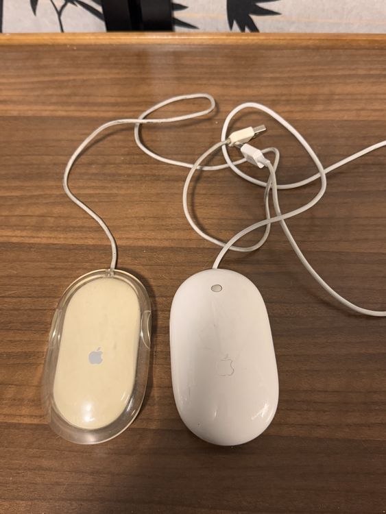 2 Apple Pro Mouse (Vintage) & Mighty Mouse (Gebraucht) in Schlieren für ...