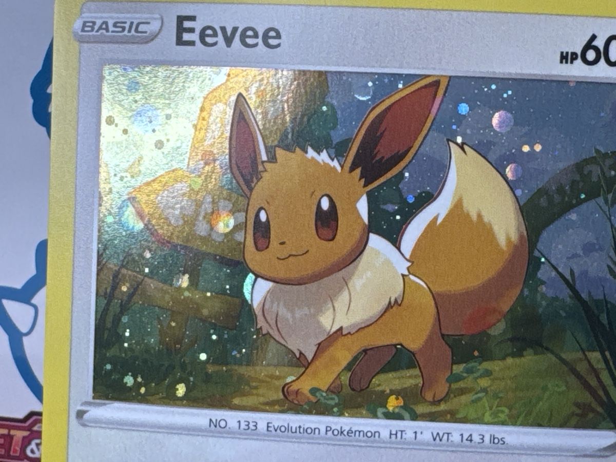 POKÉMON / Eevee / SWSH Black Star Promos (Gebraucht) in Herzogenbuchsee ...