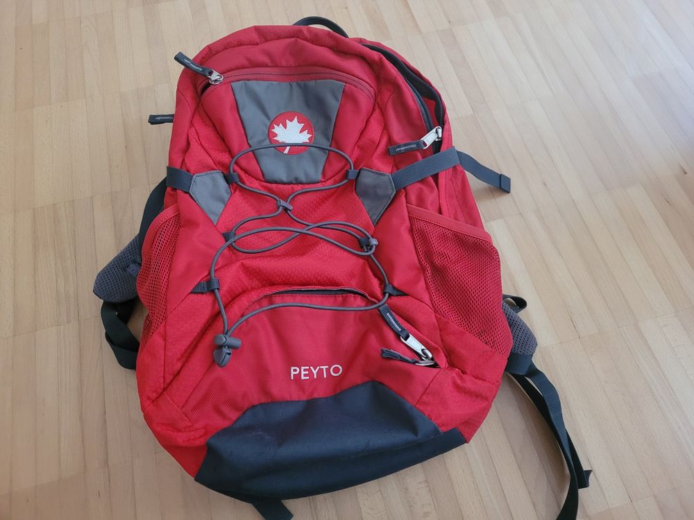 Deuter Rucksack, Wanderrucksack, Peyto, rot (Gebraucht) in Bern für CHF ...