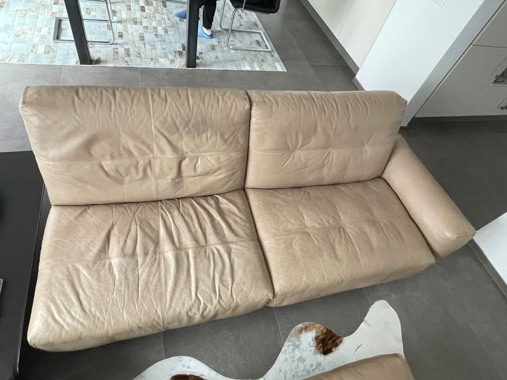Rolf Benz 50 - 2er Sofa | Kaufen auf Ricardo