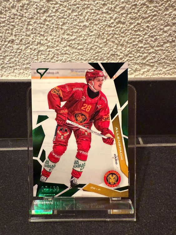 Dario Allenspach /30 Sportzoo SCL Langnau 2025 2026 (Neu (gemäss ...