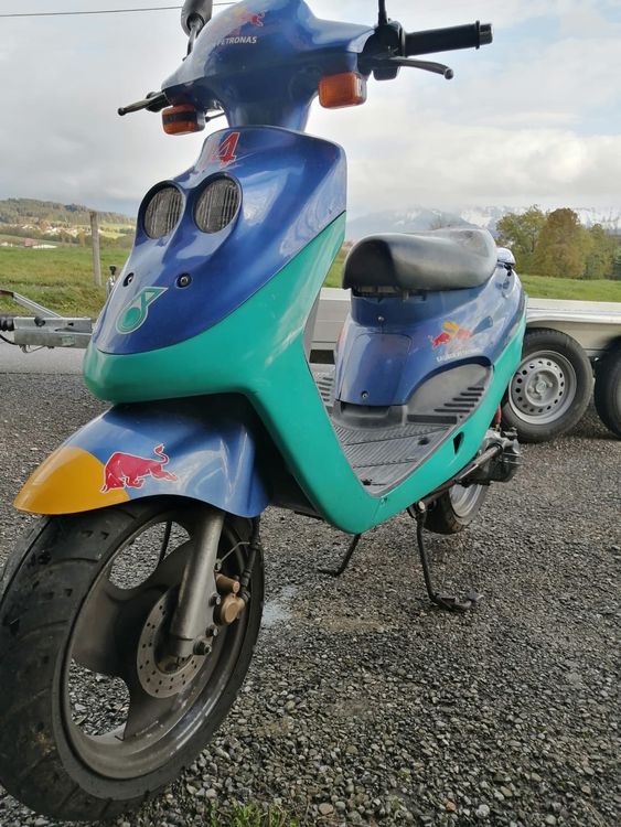 Scooter Her Cher Cat 50 | Kaufen auf Ricardo