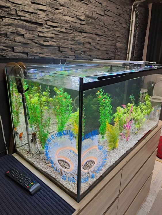 Aquarium 100x50x50 250 Liter ab 1Fr | Kaufen auf Ricardo