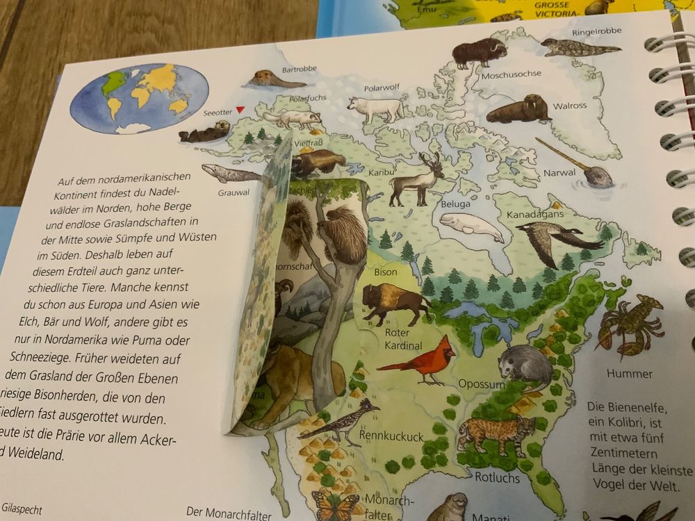 Riesen-Buchpaket für Kinder ca. 4-8 Jahre (Gebraucht) in Bettingen für ...